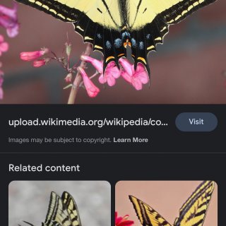 Blake Ranch RV Park & Horse Motel - Kingman, Arizona - RV LIFE ...